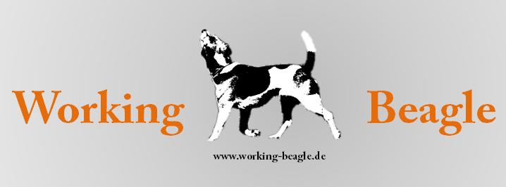 Working Beagle - Hunde